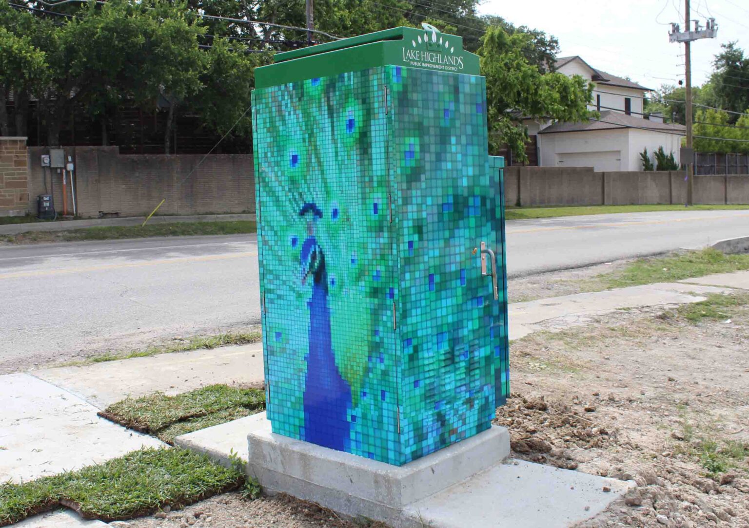 Artist, city and LHPID team up to make traffic boxes beautiful - Lake ...